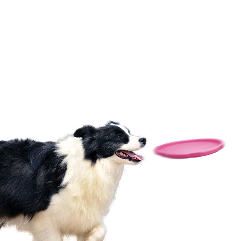 Cotton Rope Canvas Frisbee – brandpromosus.com